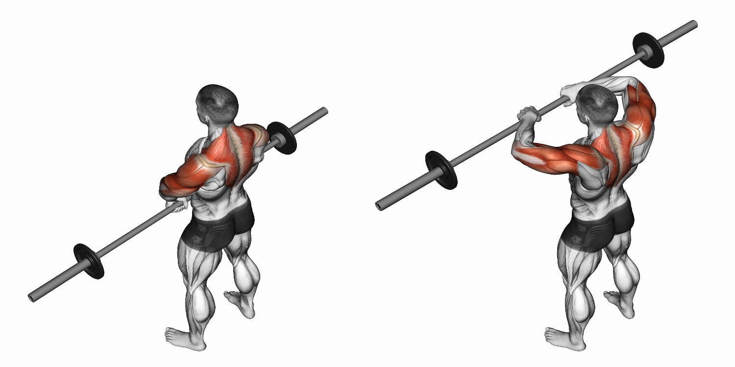 Barbell Upright Rows – Lift For Fox Sakes